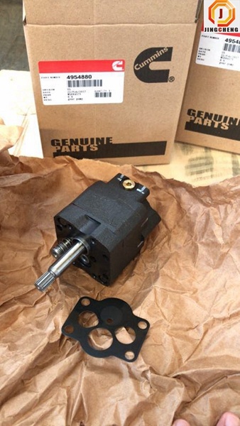 4954880 fuel injection pump gear