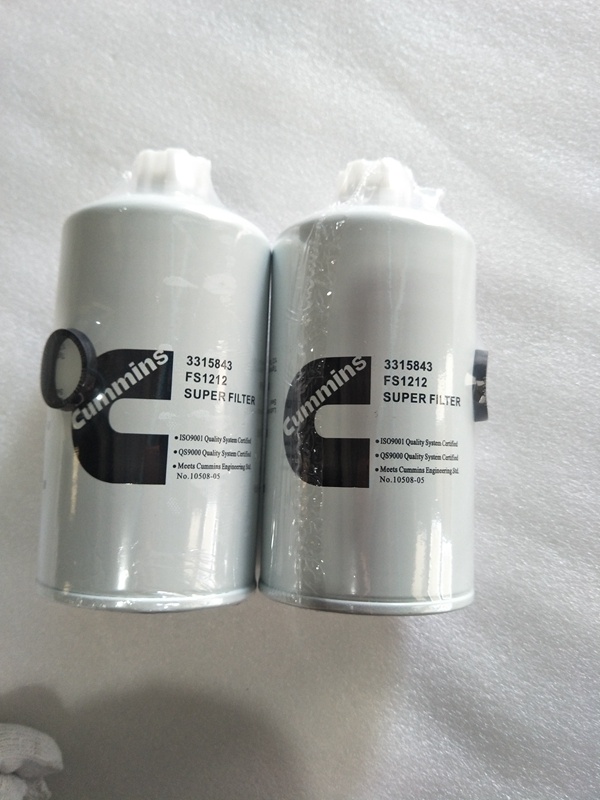 cummins engine fuel filter FS1212 3315843