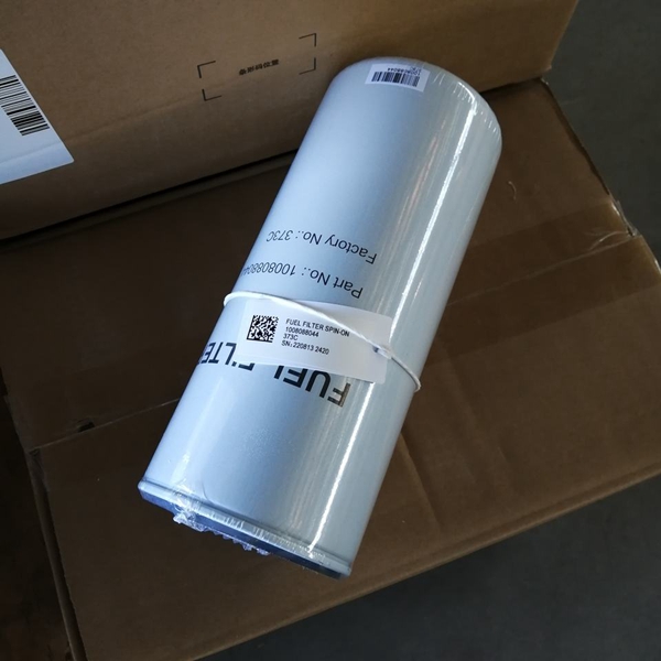 Fuel Filter 1008088044 for Weichai Engine